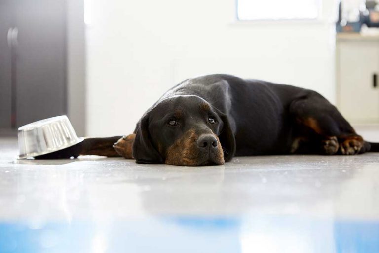 Quick Machining Solutions Ltd | Specialist Machining and Production ...